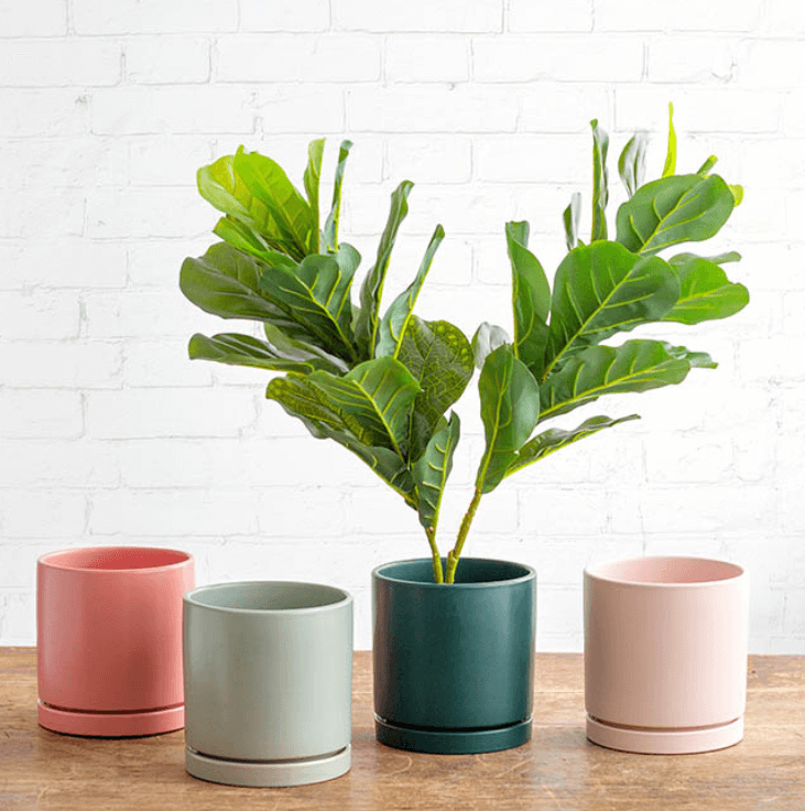 Charming Small Planters for Your Green Space – Page 3 – Plantonica