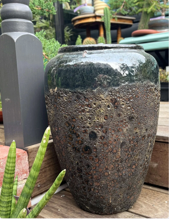 All Planters Collection - Stylish & Functional