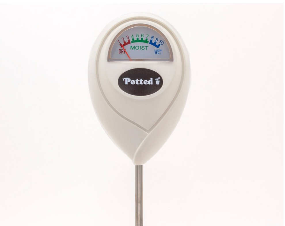 Indoor Moisture Meter White – Plantonica