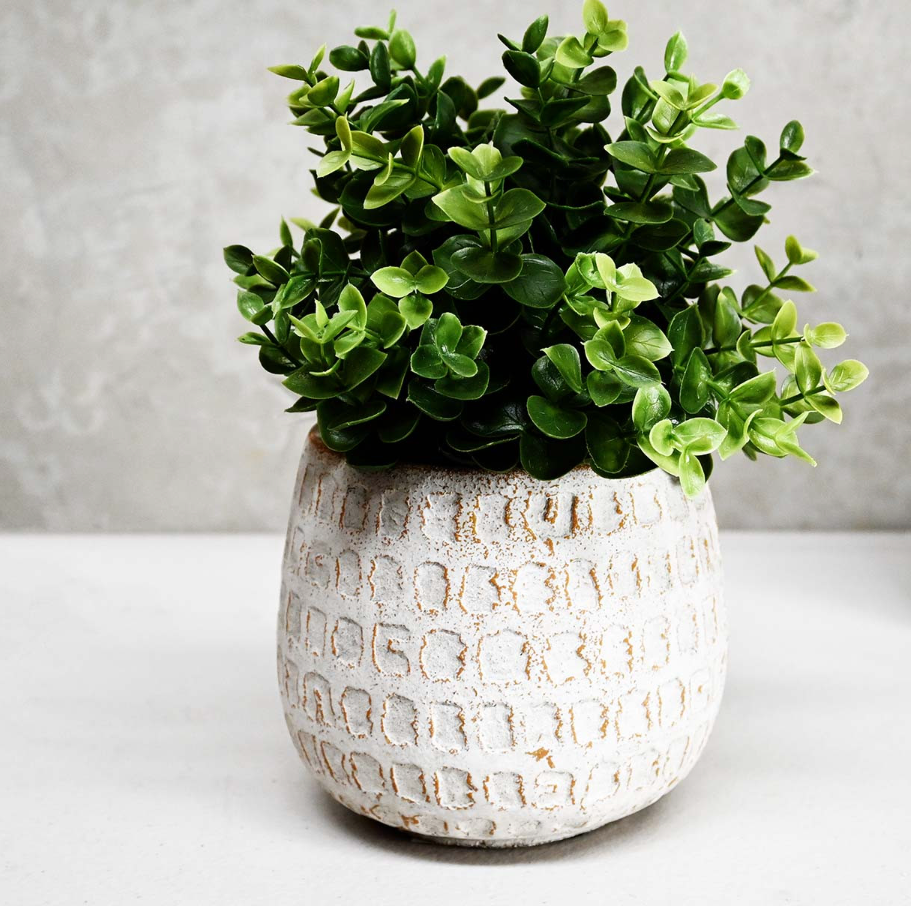 Dart Squat Dot Congo Planter - Stylish Small Pots